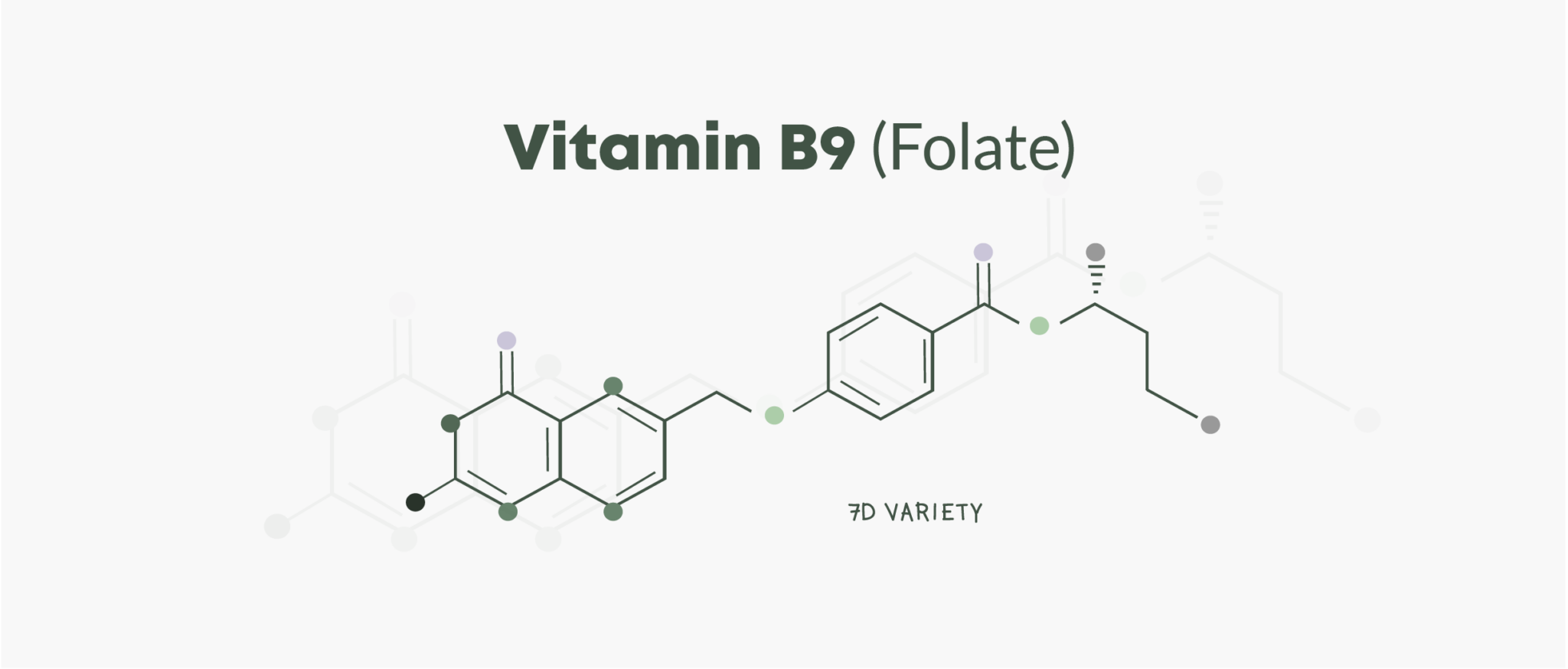 5 Foods to Boost Immune System | 7D VARIETY